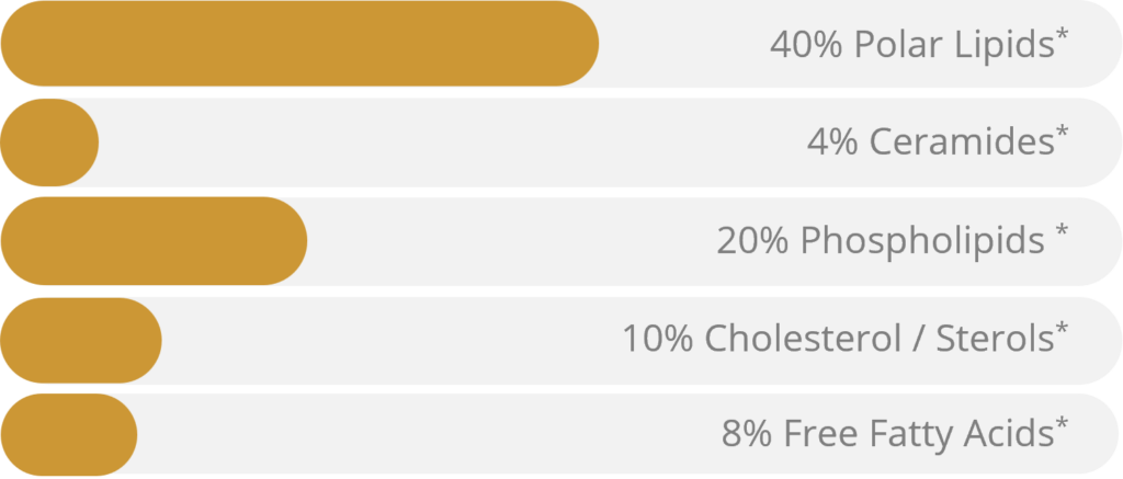 Blog | Skin Identical Ceramides from Oat Ingredients