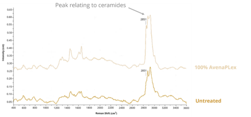 Blog | Skin Identical Ceramides from Oat Ingredients